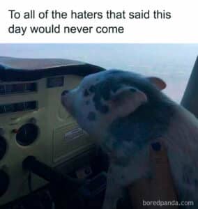 30 Hilarious Memes For Anyone Who Can’t Go A Day Without A Meme