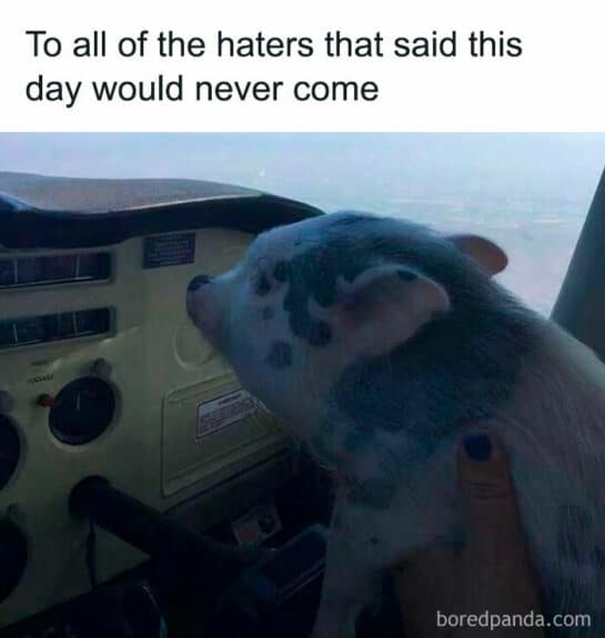 30 Hilarious Memes For Anyone Who Can’t Go A Day Without A Meme