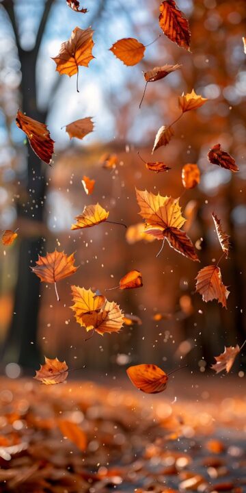 25+ Stunning And Dreamy Fall Phone Wallpapers