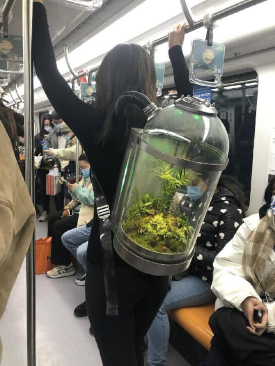 40 Funny Photos Without Context That Get Weirder The Longer You Look At ...