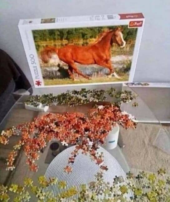40 Funny Photos Without Context That Get Weirder The Longer You Look At ...
