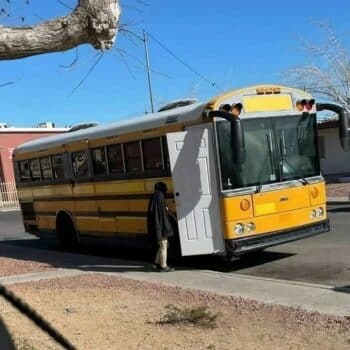 40 Hilarious Random Pics To Brighten Your Day And Distract You From ...