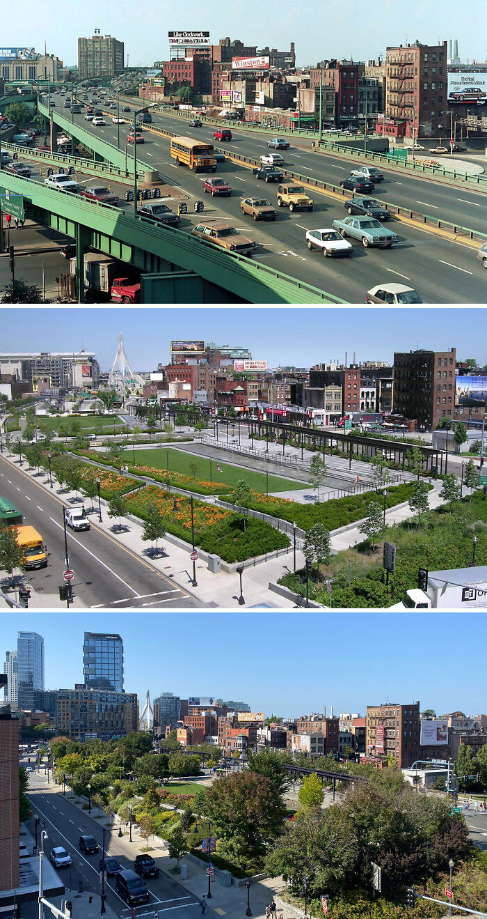 10 People Shared Before And After Pictures Of Trees Growing Through The ...