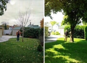 10 People Shared Before And After Pictures Of Trees Growing Through The ...