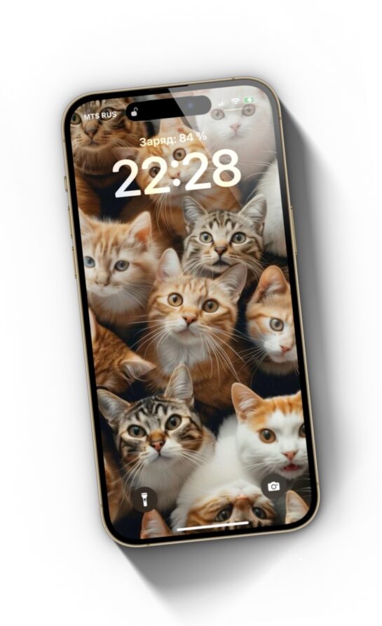 Which Mobile Wallpaper Will Match Your Unique Style? (100 New Wallpaper)