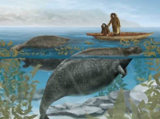 Top 10 Most Beautiful Extinct Animals