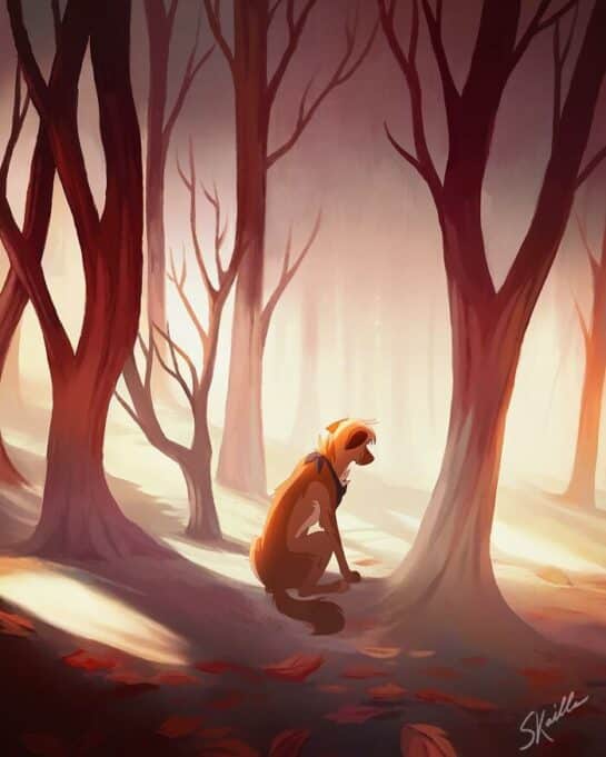 A Peek Into Charming Animal Adventures Through 54 Captivating ...