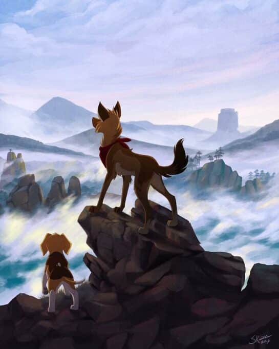 A Peek Into Charming Animal Adventures Through 54 Captivating ...