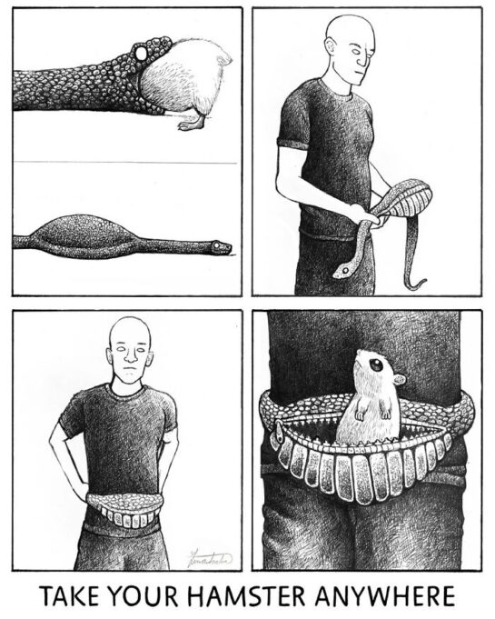 30 Nonsensical Scientific Illustrations Of Wildlife By Tim Andraka