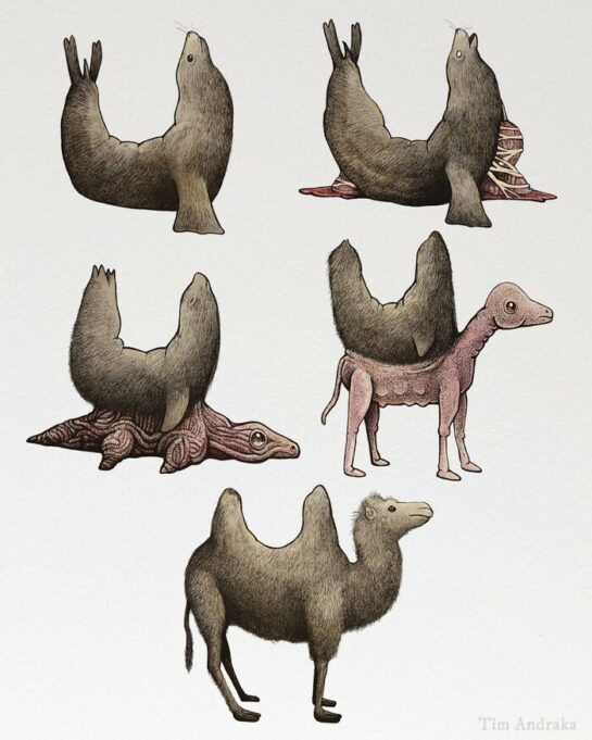 30 Nonsensical Scientific Illustrations Of Wildlife By Tim Andraka