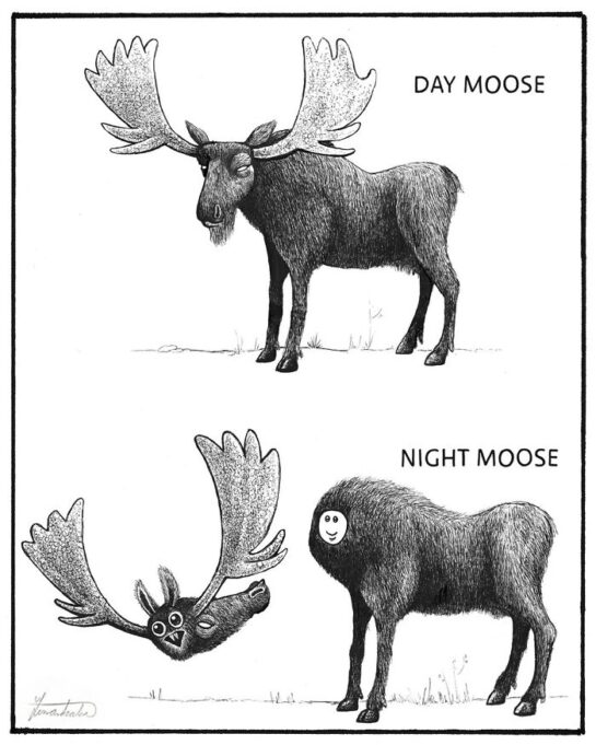 30 Nonsensical Scientific Illustrations Of Wildlife By Tim Andraka
