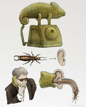 30 Nonsensical Scientific Illustrations Of Wildlife By Tim Andraka