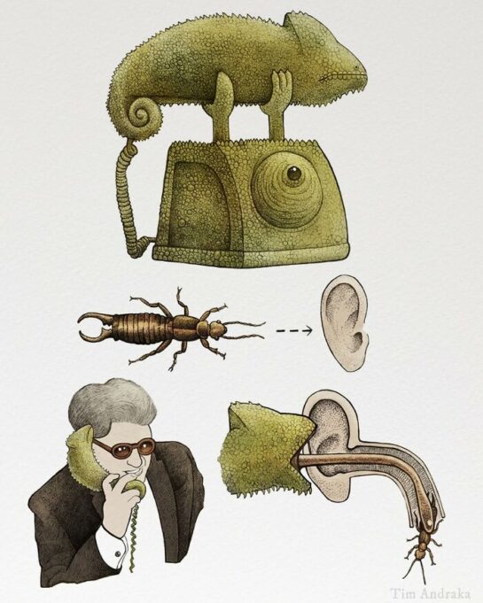 30 Nonsensical Scientific Illustrations Of Wildlife By Tim Andraka