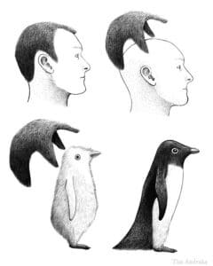 30 Nonsensical Scientific Illustrations Of Wildlife By Tim Andraka