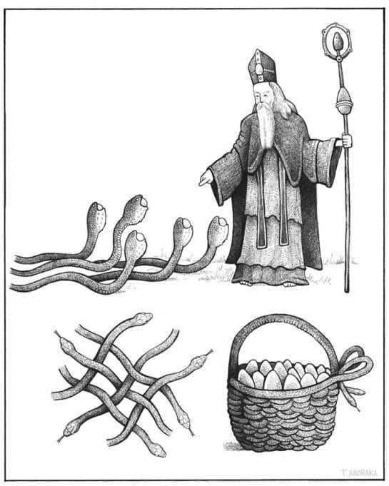 30 Nonsensical Scientific Illustrations Of Wildlife By Tim Andraka