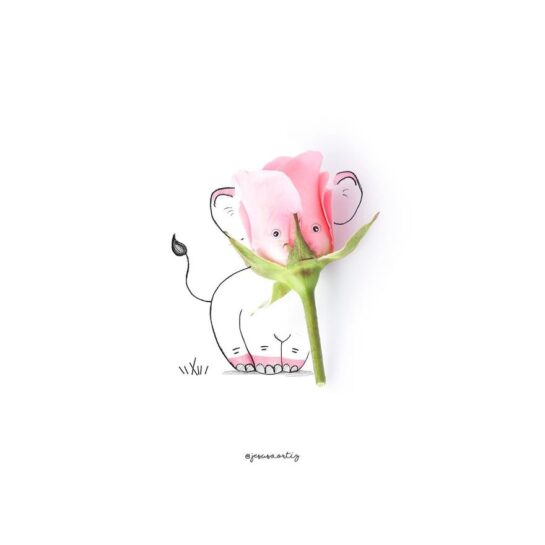 Artist Brings 50 Illustrations To Life By Using Everyday Objects