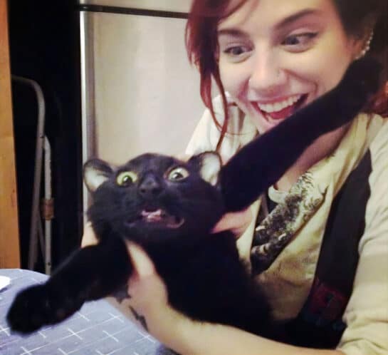 30 Socially Awkward Cats Reacting Hilariously To “Hugs”