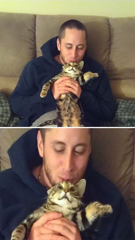 30 Socially Awkward Cats Reacting Hilariously To “Hugs”
