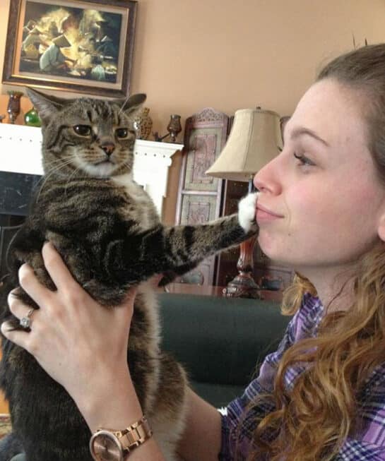 30 Socially Awkward Cats Reacting Hilariously To “Hugs”