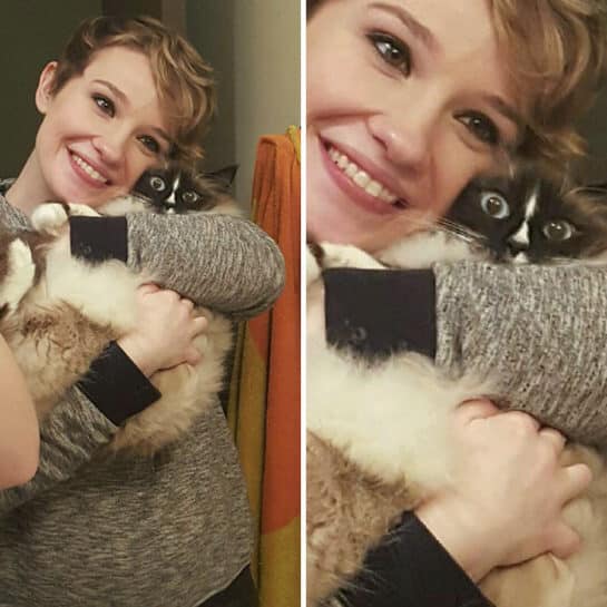 30 Socially Awkward Cats Reacting Hilariously To “Hugs”