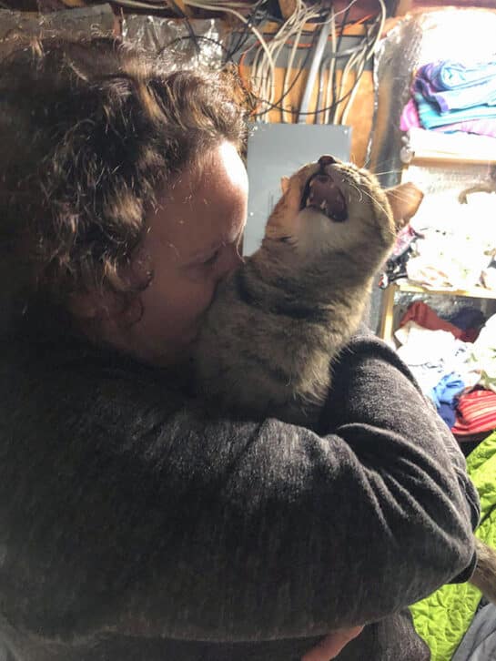 30 Socially Awkward Cats Reacting Hilariously To “Hugs”