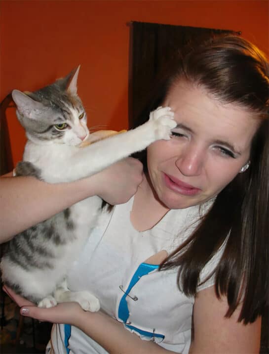 30 Socially Awkward Cats Reacting Hilariously To “Hugs”