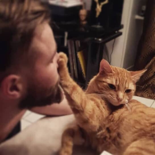 30 Socially Awkward Cats Reacting Hilariously To “Hugs”