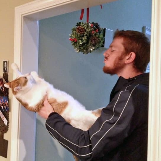 30 Socially Awkward Cats Reacting Hilariously To “Hugs”