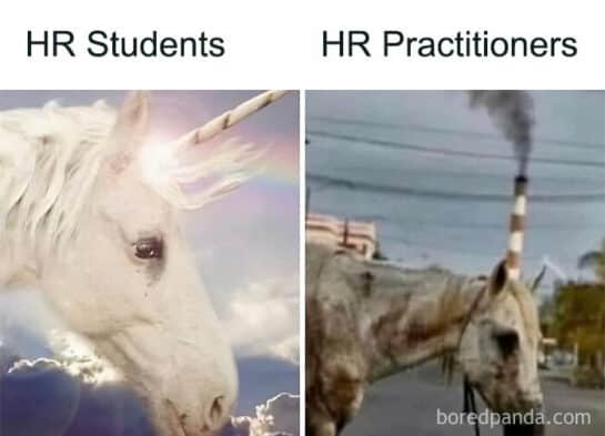 Classic HR Memes”:50 Painfully Hilarious Posts