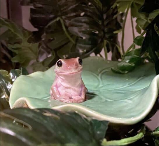 50 Cute And Funny Photos That May Show You A Different Side To These ...