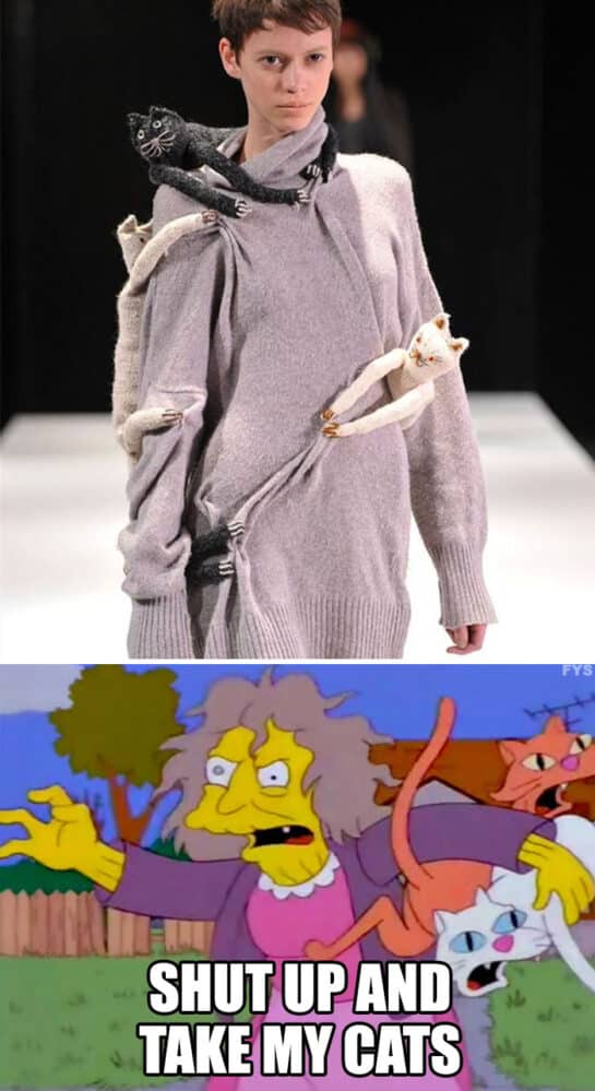 27 Fashion Disasters Turned Into Hilarious Memes