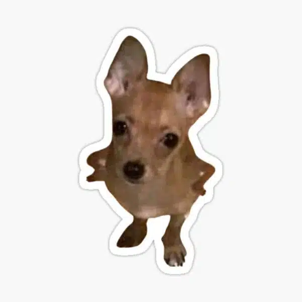 Creative Ideas for Using Animal Stickers to Brighten Your World