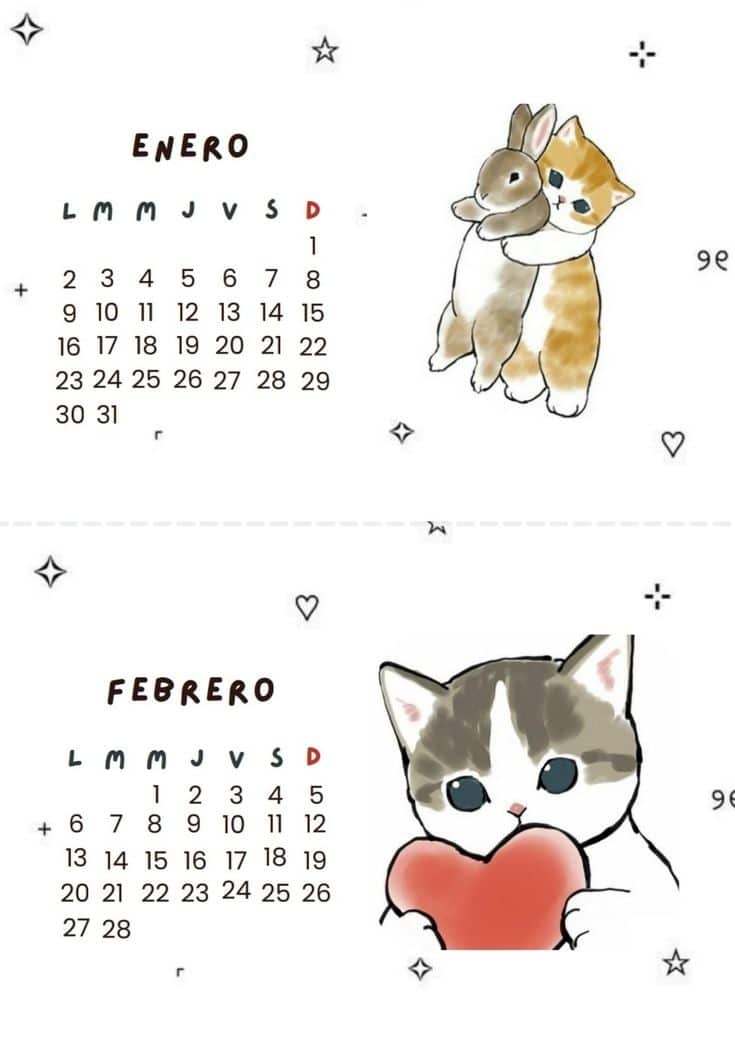 Every Day is Caturday with These Adorable Cat Calendars!