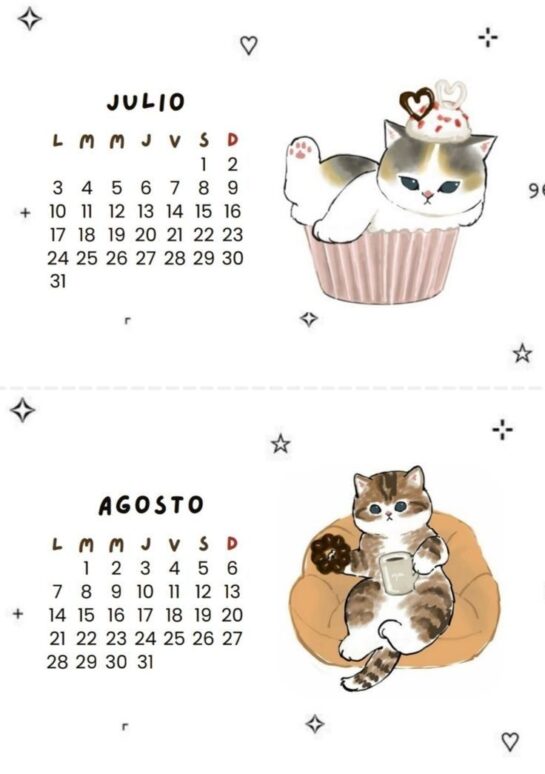 Every Day is Caturday with These Adorable Cat Calendars!