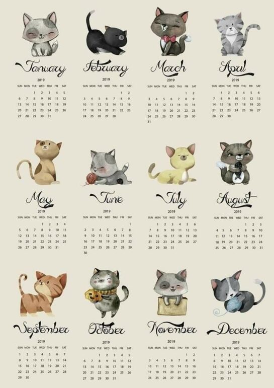 Every Day is Caturday with These Adorable Cat Calendars!