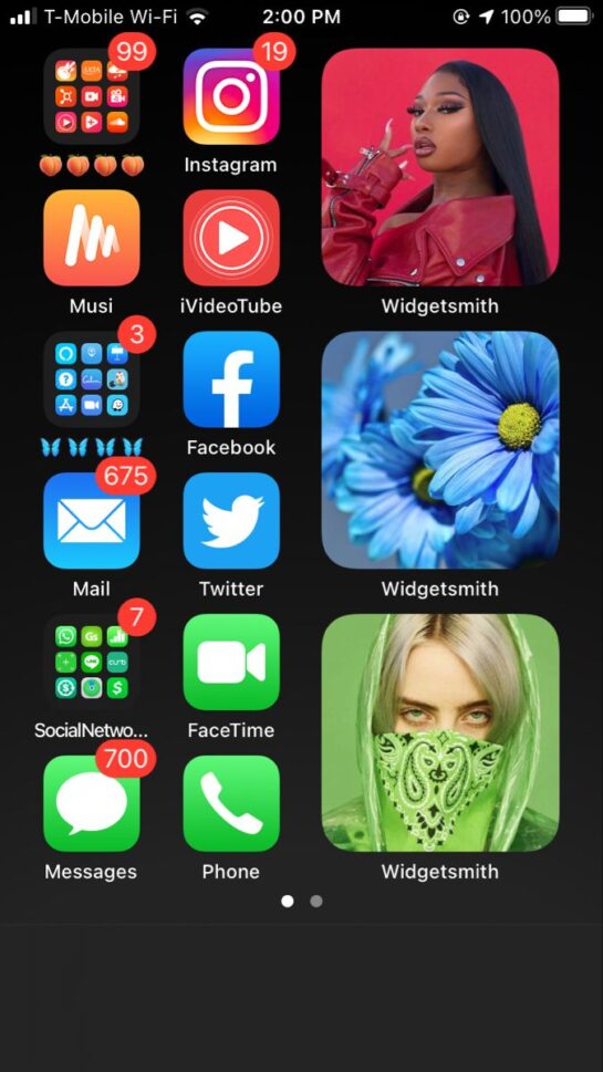The Art of iPhone Icons: Turning Your Home Screen Into a Masterpiece