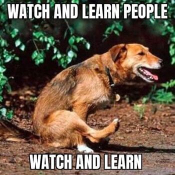 Dark Humor Jokes You’ll Feel Guilty Laughing At But Can’t Resist