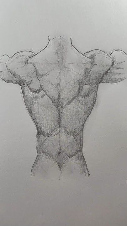 Mastering the Male Form: Stunning Body Art that Celebrates Shape and ...