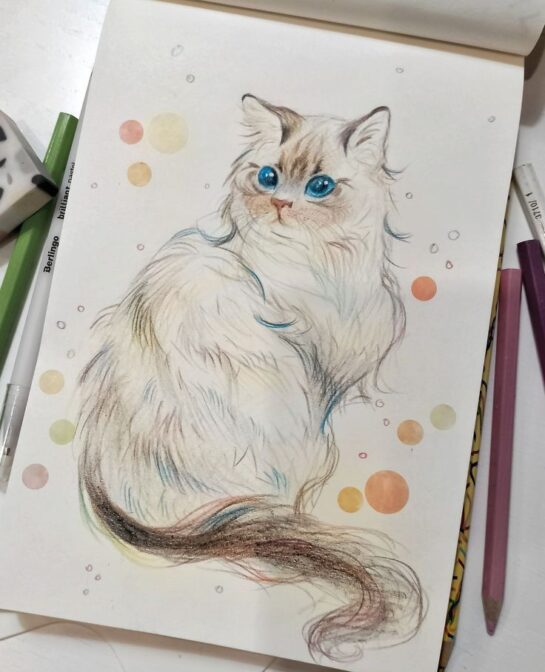 Beautiful Cat Art: Stunning Wallpapers and Easy Sketches for Beginners