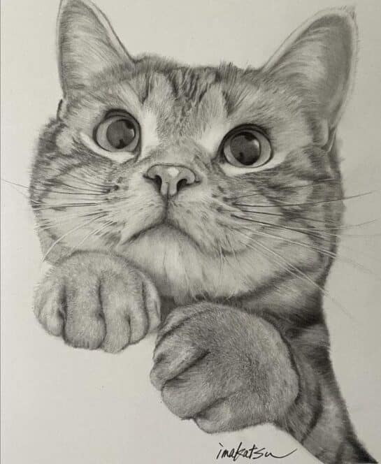 Beautiful Cat Art: Stunning Wallpapers and Easy Sketches for Beginners