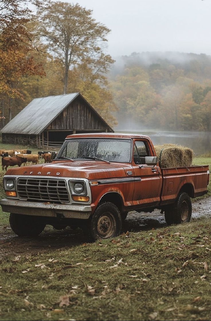 Timeless Classics: The Enduring Charm of Old Pickup Trucks and Retro Cars