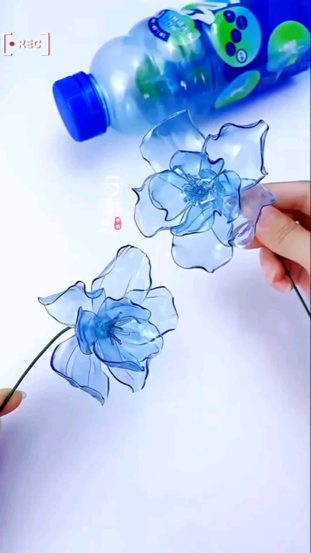 Timeless Blooms: Celebrating the Art and Creativity of Flowers