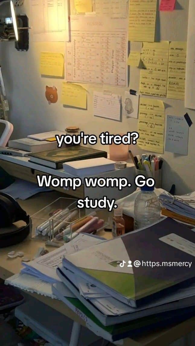 Mastering the Art of Study Time: Productivity, Focus, and Aesthetic ...