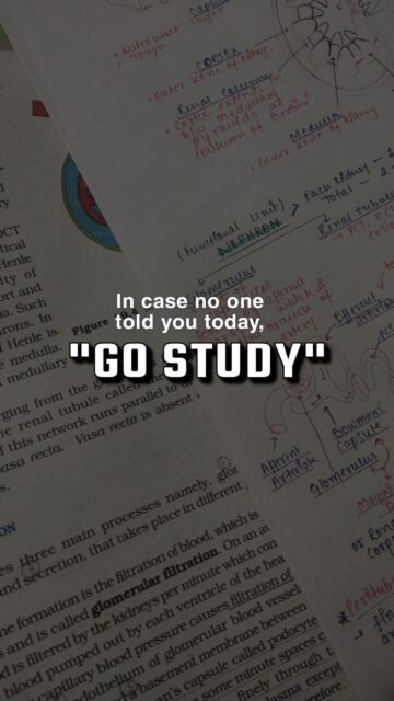 Mastering the Art of Study Time: Productivity, Focus, and Aesthetic ...