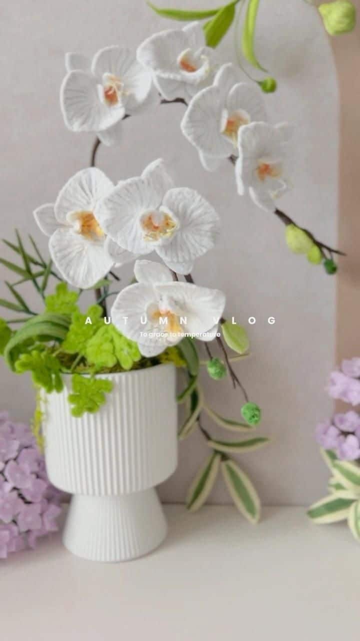 Timeless Blooms: Celebrating the Art and Creativity of Flowers