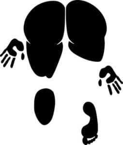 Inspiration and Technique: How to Draw the Female Body