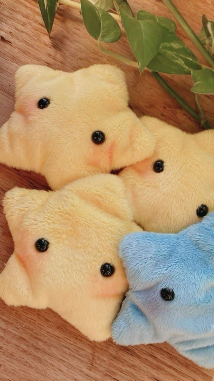 20 Fabric Crafts So Cute, You’ll Want to Keep Them All