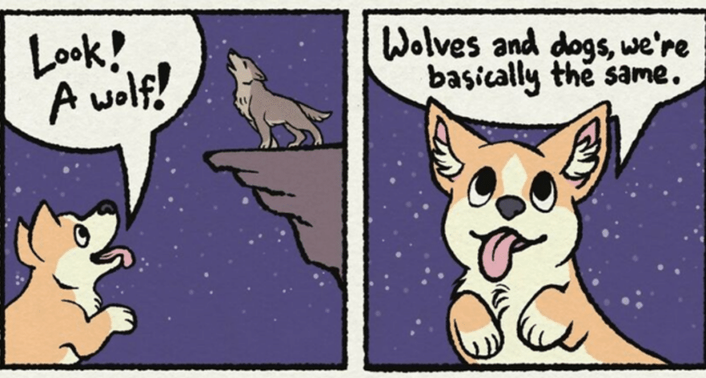 30 Great Comics By Artist Tiff Zhang That Touch On The Bond Between ...